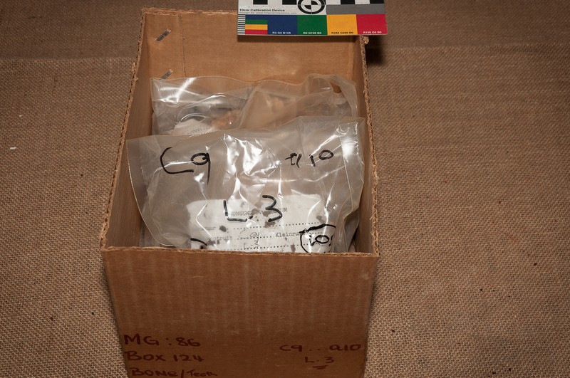 Contents of box - Five Hundred Year Archive